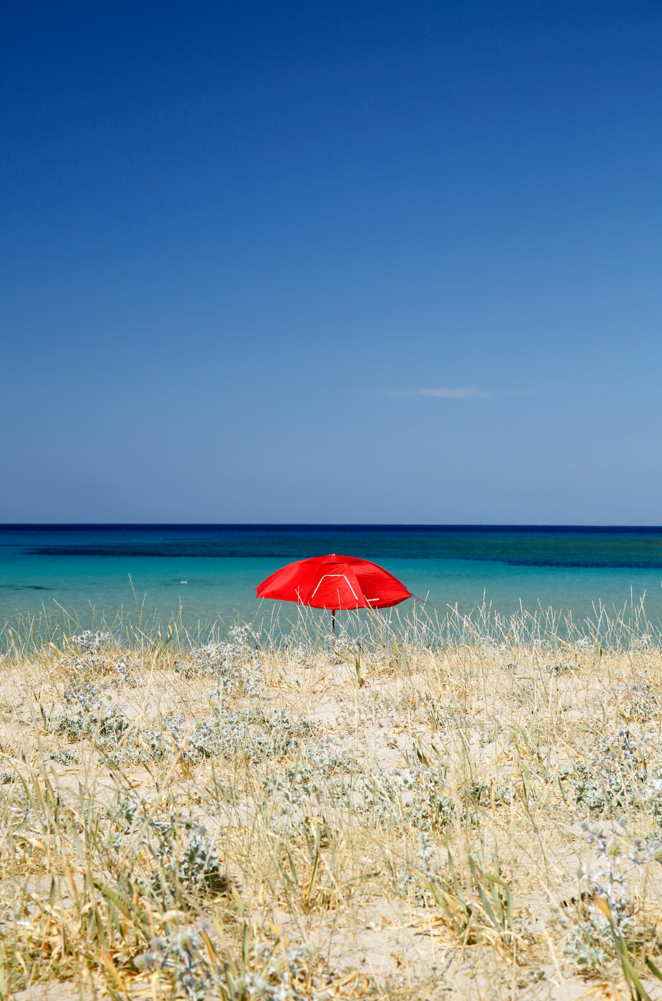 A day in Rineia, Mykonos' hidden paradise | travel.gr