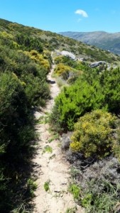 Άνδρος: Πλήρης οδηγός για το νησί των Κυκλάδων | travel.gr