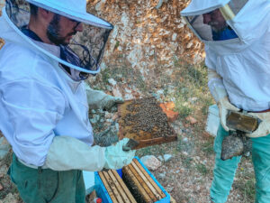 Five Reasons to Visit the Aegean Island of Karpathos| travel.gr