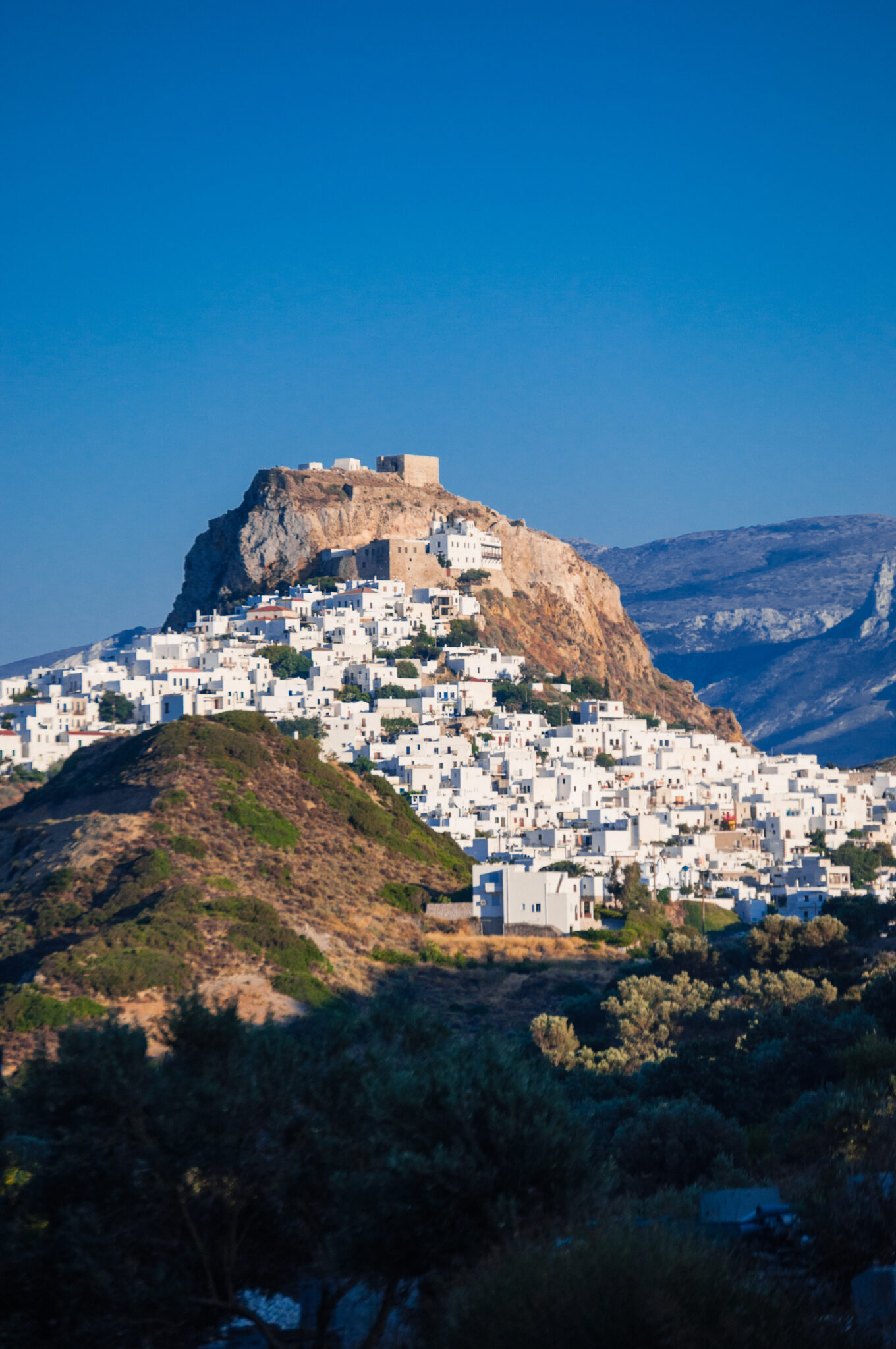 Bird-watching on Skyros: Observing the creatures who conquered freedom ...