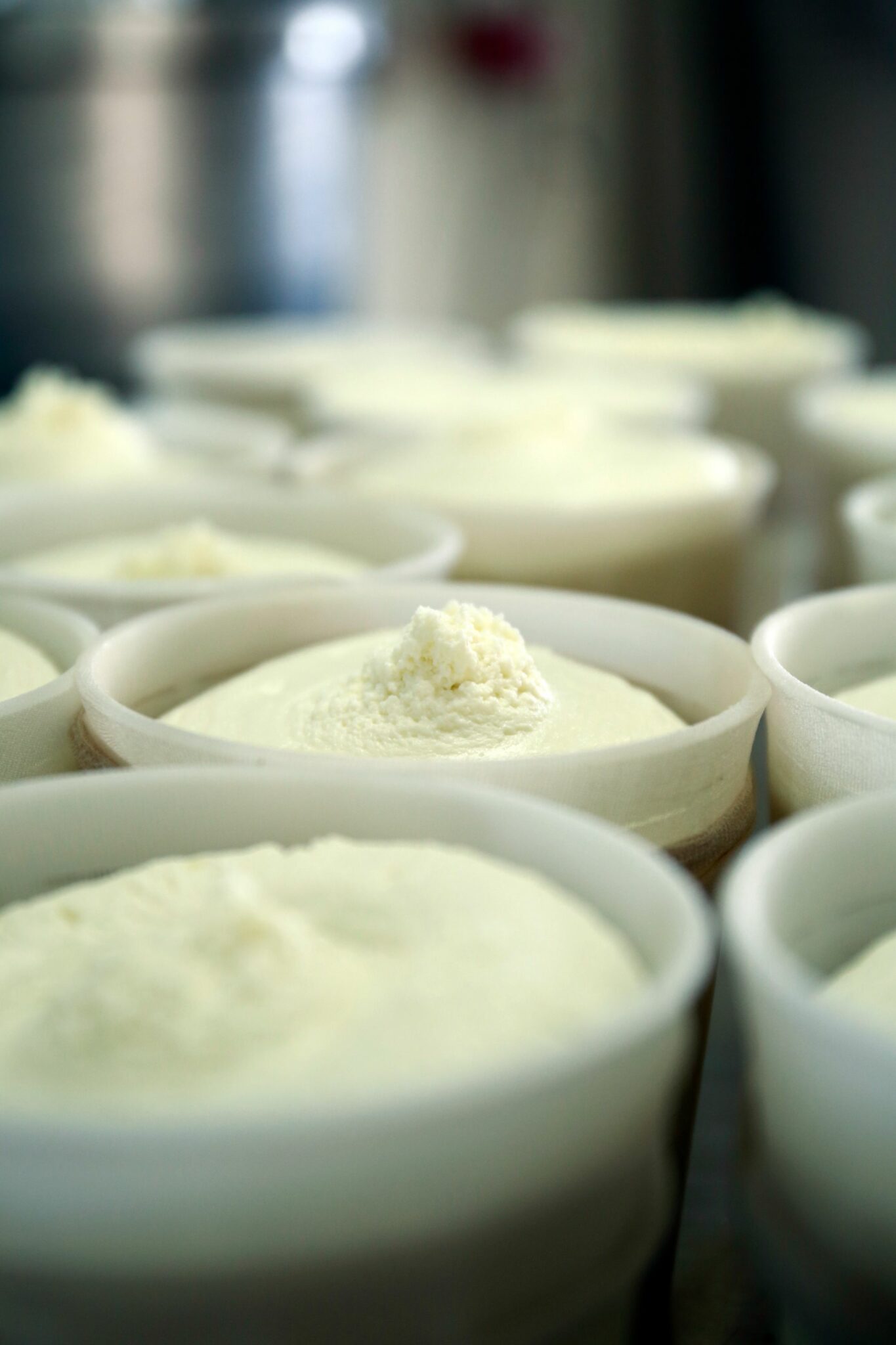 Cheese tastes different in this Mykonos dairy | travel.gr