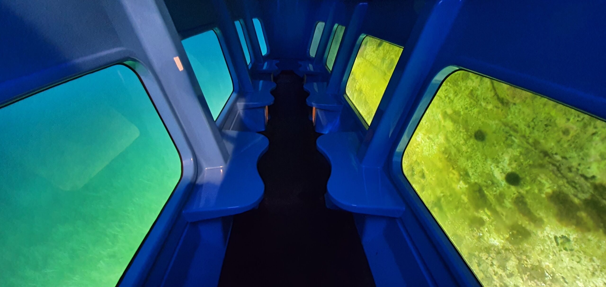 Ταξιδέψτε στο βυθό της Χαλκιδικής και της Πιερίας με το Νemo-Nemo ...