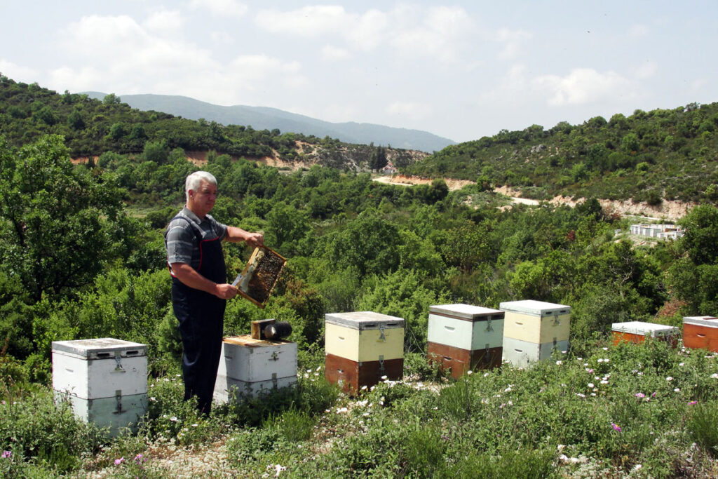Η Χαλκιδική μετά το καλοκαίρι - Περιήγηση στα καταπράσινα φιλόξενα ...