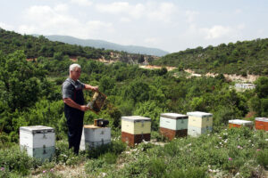 Η Χαλκιδική μετά το καλοκαίρι - Περιήγηση στα καταπράσινα φιλόξενα ...