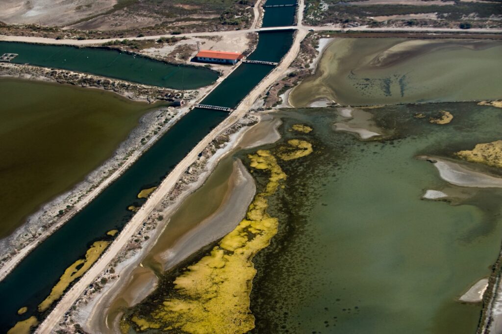 The Salterns of Messolonghi, where Greece’s white treasure comes from ...