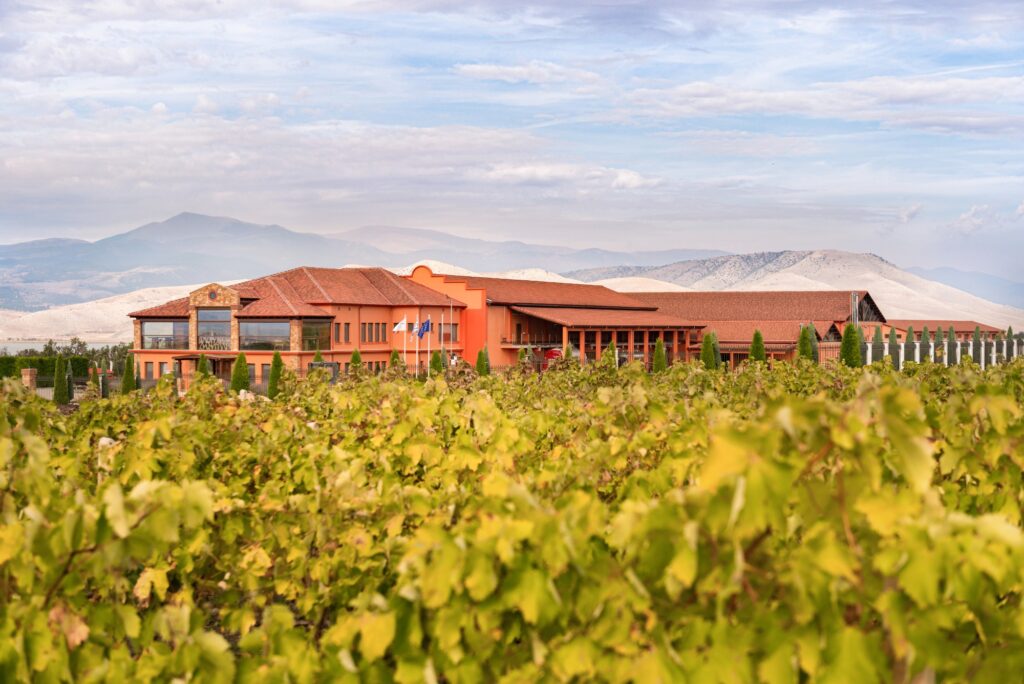 Discover the magic of Northern Greece through wine | travel.gr