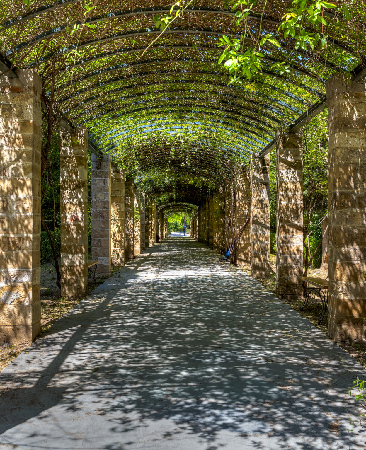 Athens' 31 Best Parks: Shade, Lush Greenery & Calm | Travel.gr/en