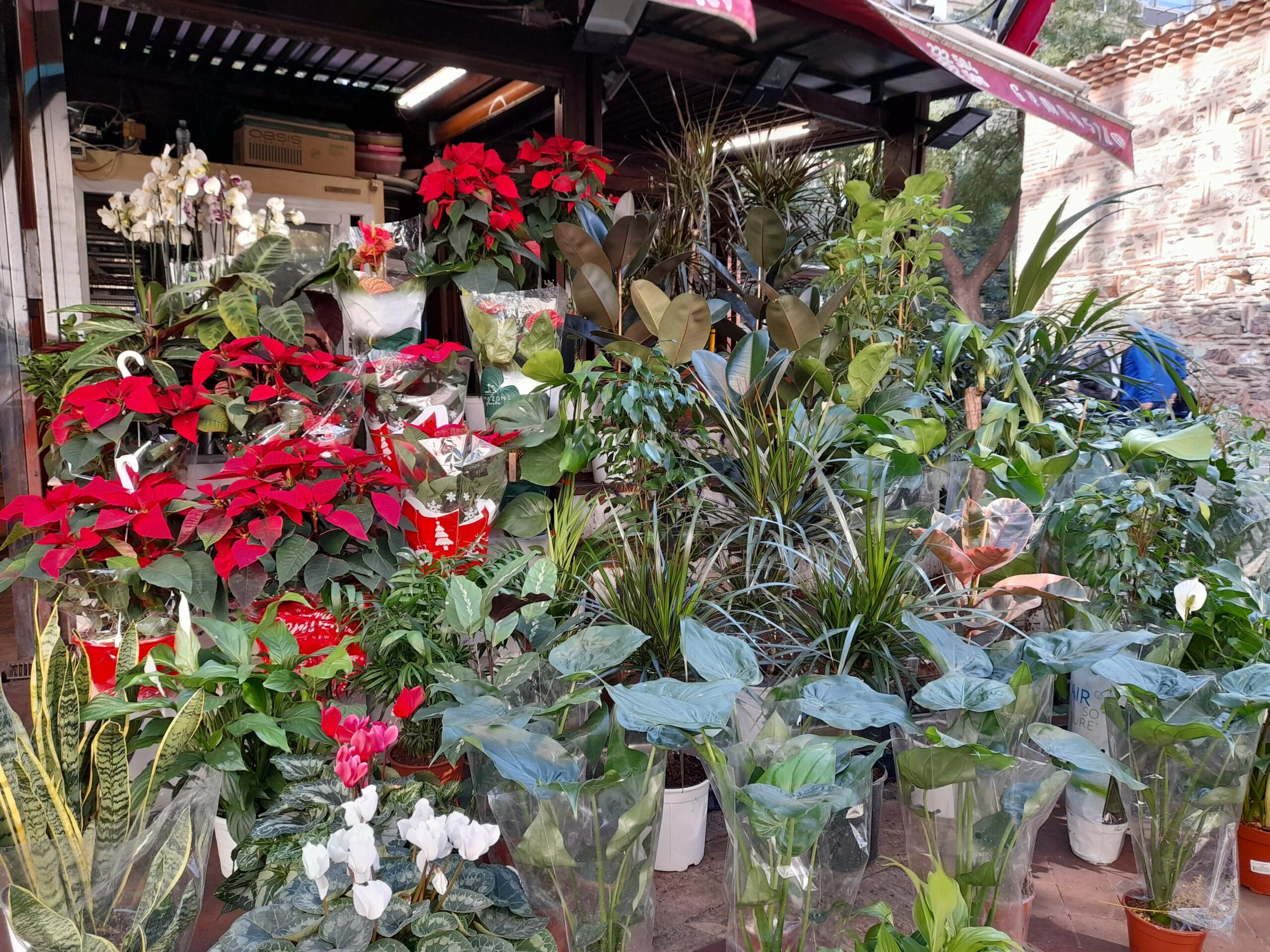 Visiting the Fragrant Flower Shops of Thessaloniki | travel.gr