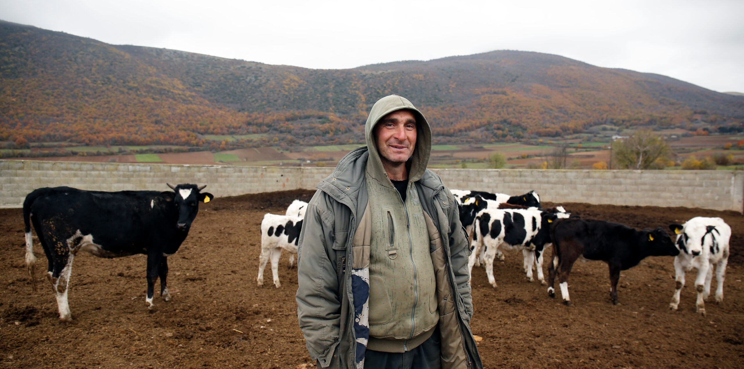Life with 60 cows at a village with less than 10 residents – Kozani ...