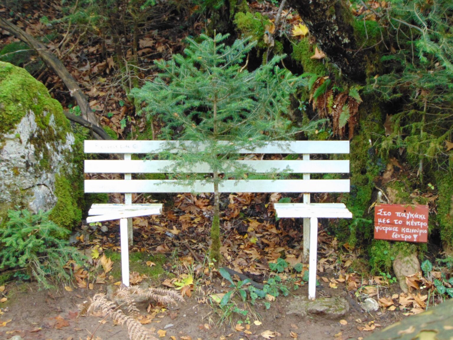 Μια μέρα στο πάρκο της Παύλιανης - Γέφυρες με μουσική, κούνιες και ...