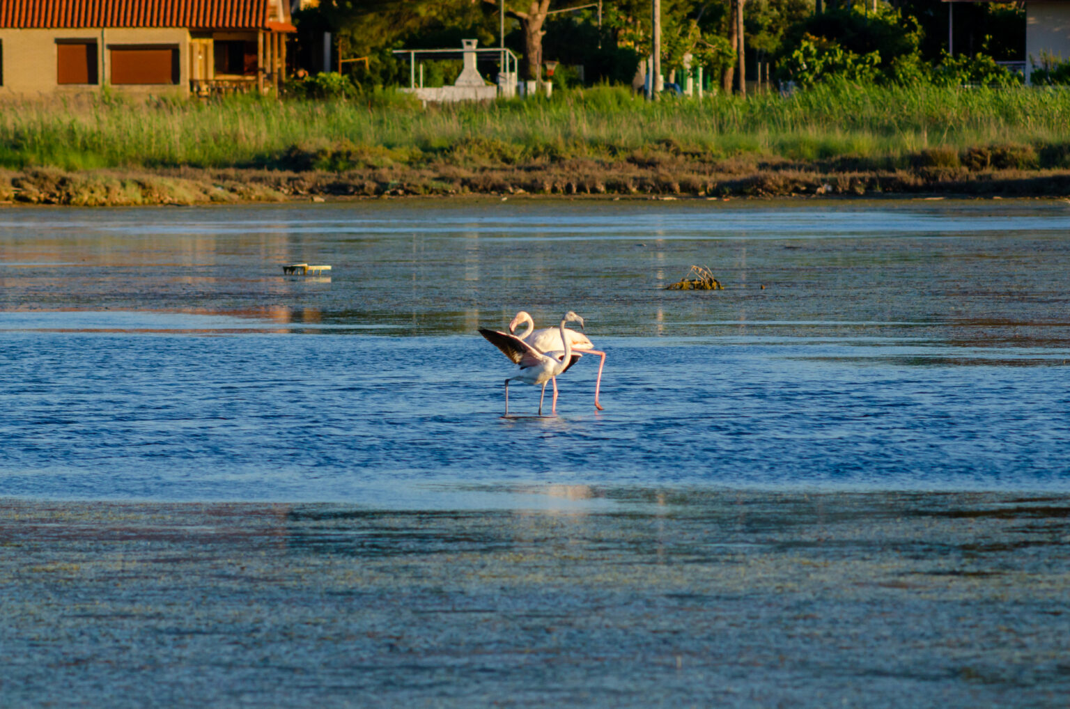 A walk in Oropos, an amazing destination in Attica | travel.gr