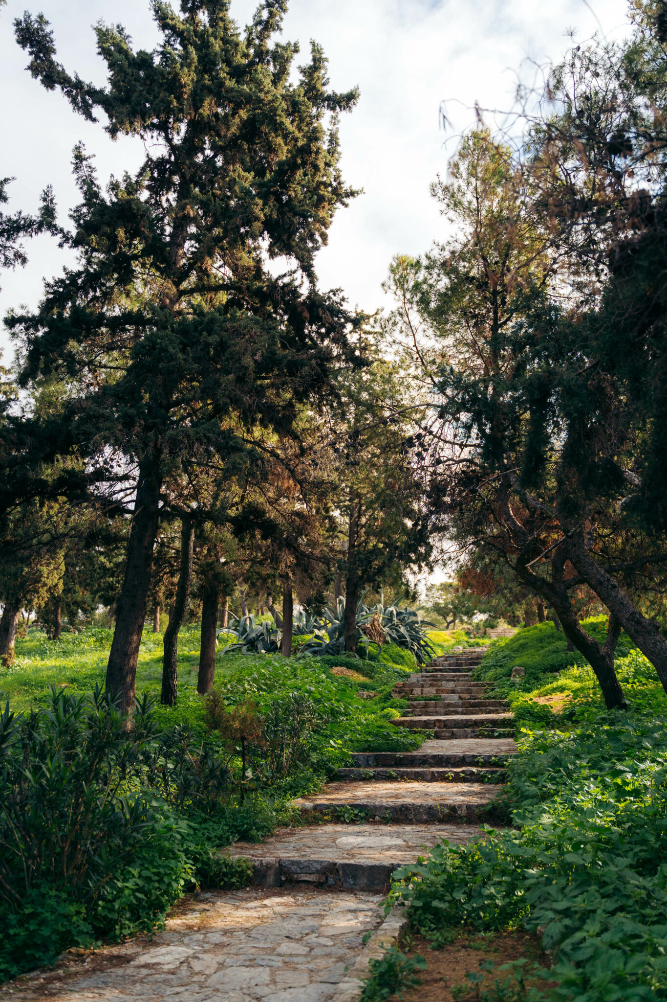 Athens' 31 Best Parks: Shade, Lush Greenery & Calm | Travel.gr/en