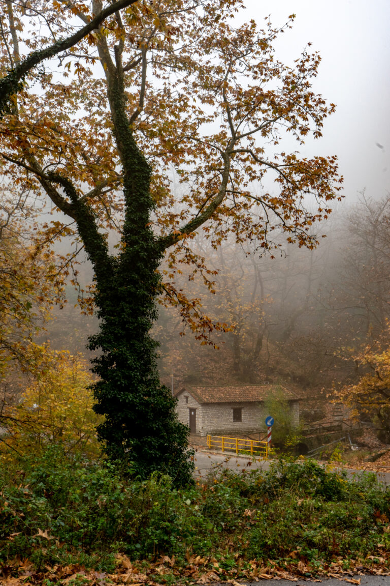 Anthochori: The 'Blossoming Village' of Central Greece| travel.gr