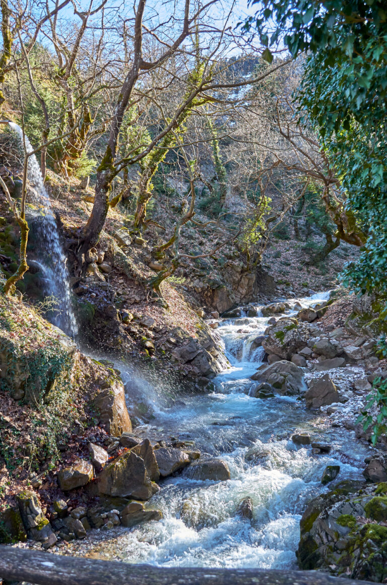 Anthochori: The 'Blossoming Village' of Central Greece| travel.gr