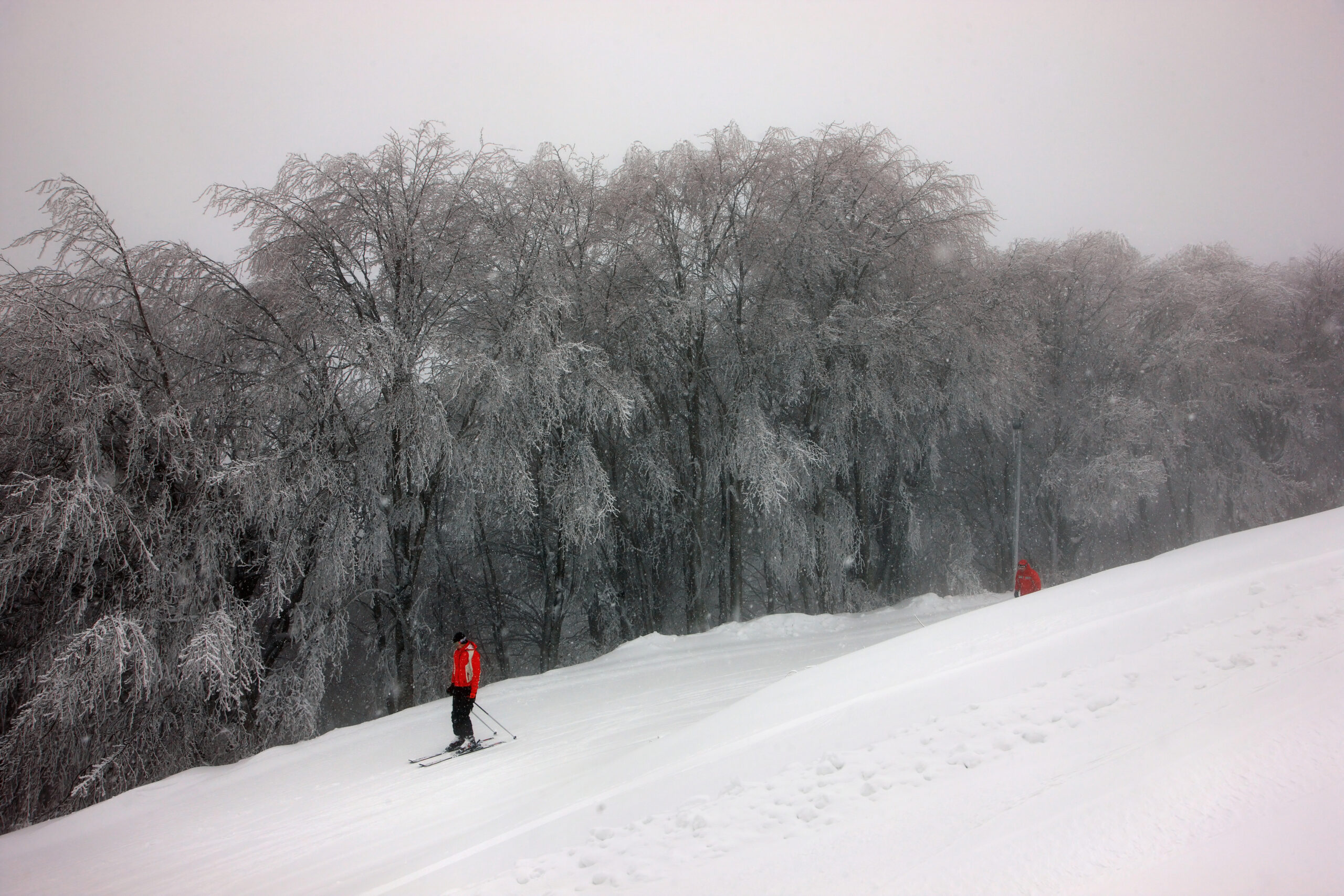 Pelion Ski Centre opens today, 14 January | travel.gr