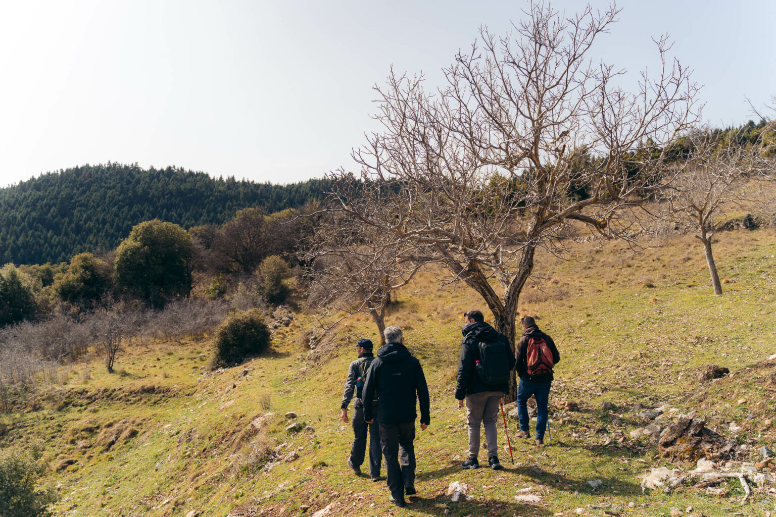 4 μοναδικές εμπειρίες και 1 ξυλογλύπτης στην oρεινή Αρκαδία | travel.gr