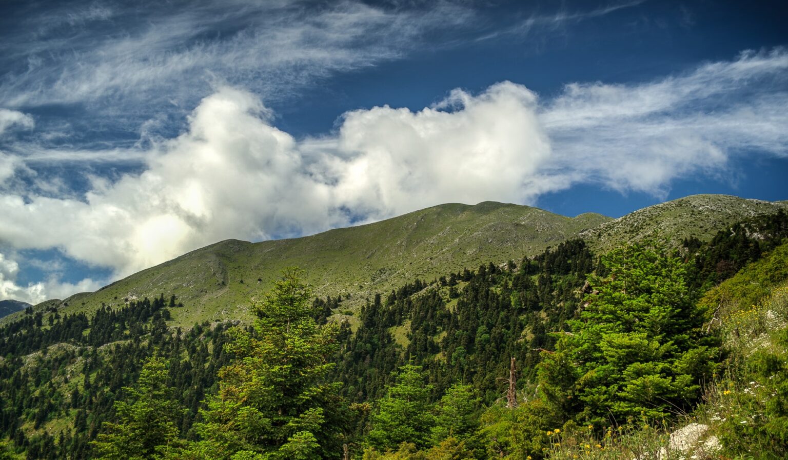 Ελαταριά Παραμυθιά μονοπάτια εντυπωσιακά έλατα ορειβασία πεζοπορία ...