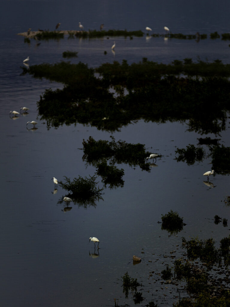 Carla Lake in Thessaly, an important Mediterranean wetland | travel.gr