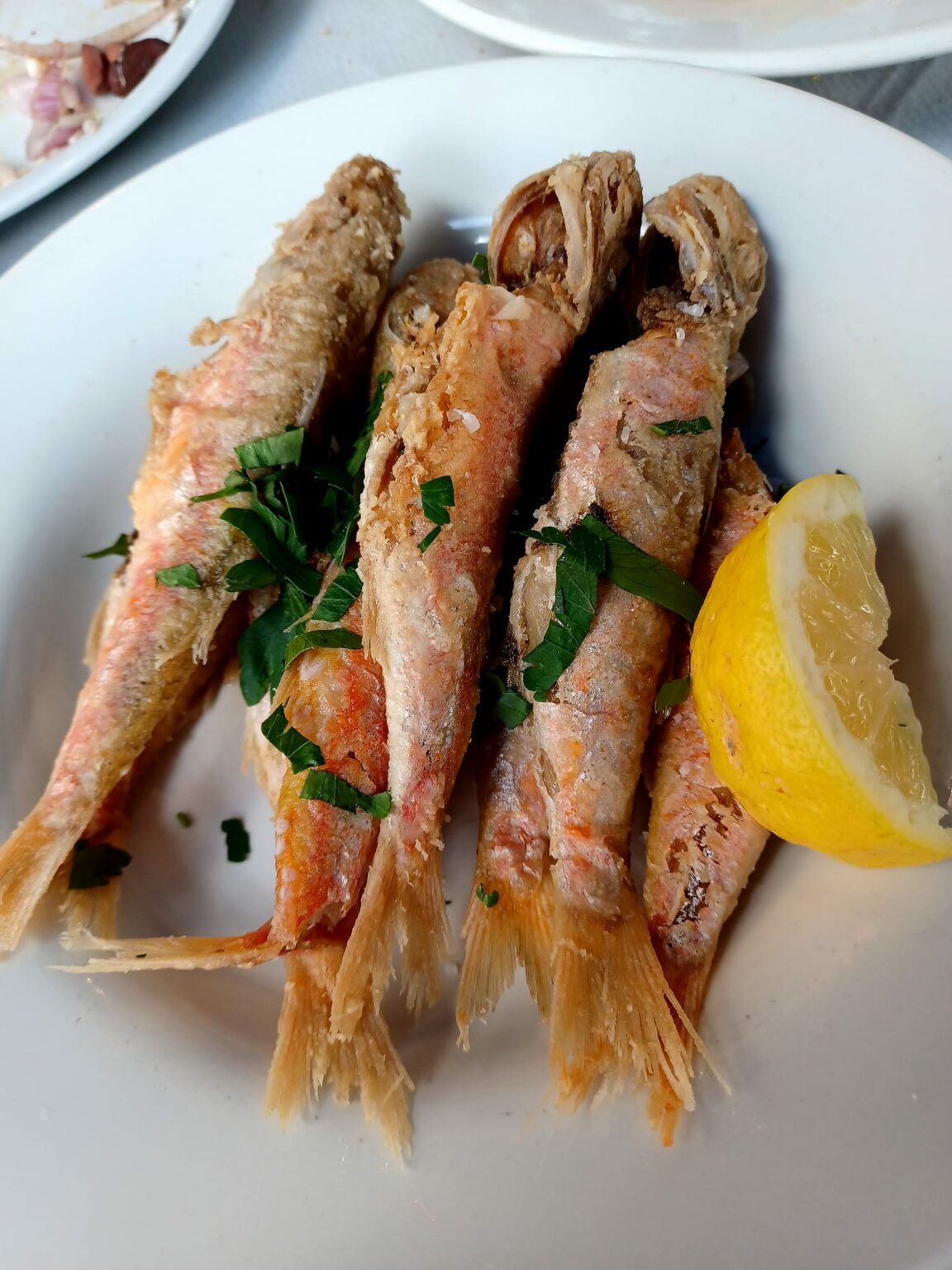 Lemon, Oil, Go: Top 13 Fish Taverns In and Around Athens | Travel.gr/en
