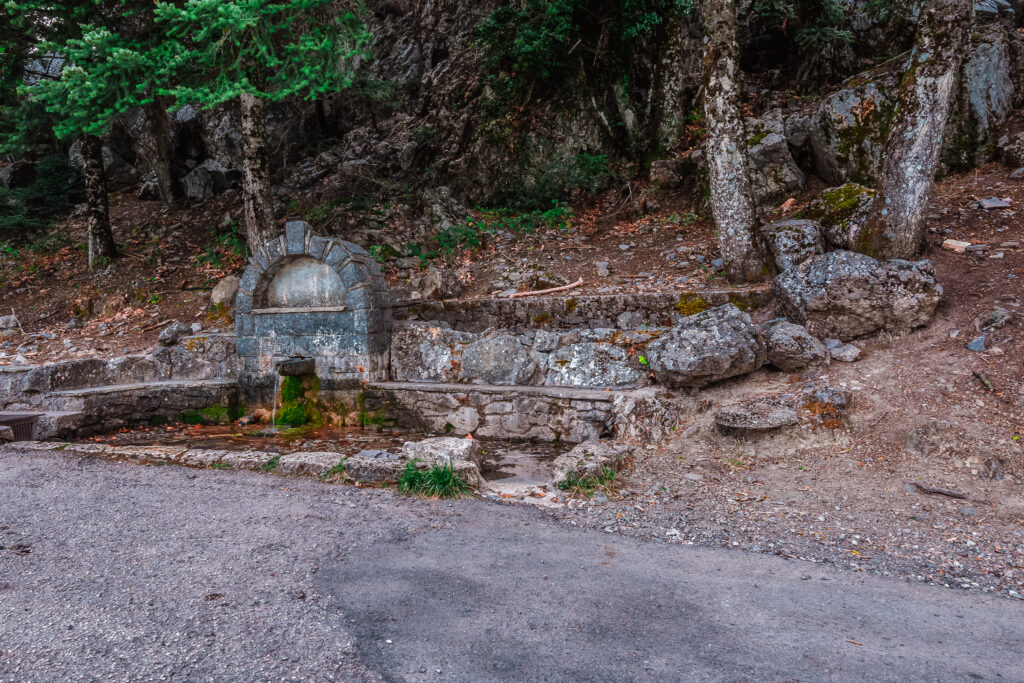5 Πεζοπορικές διαδρομές στην Πάρνηθα | travel.gr