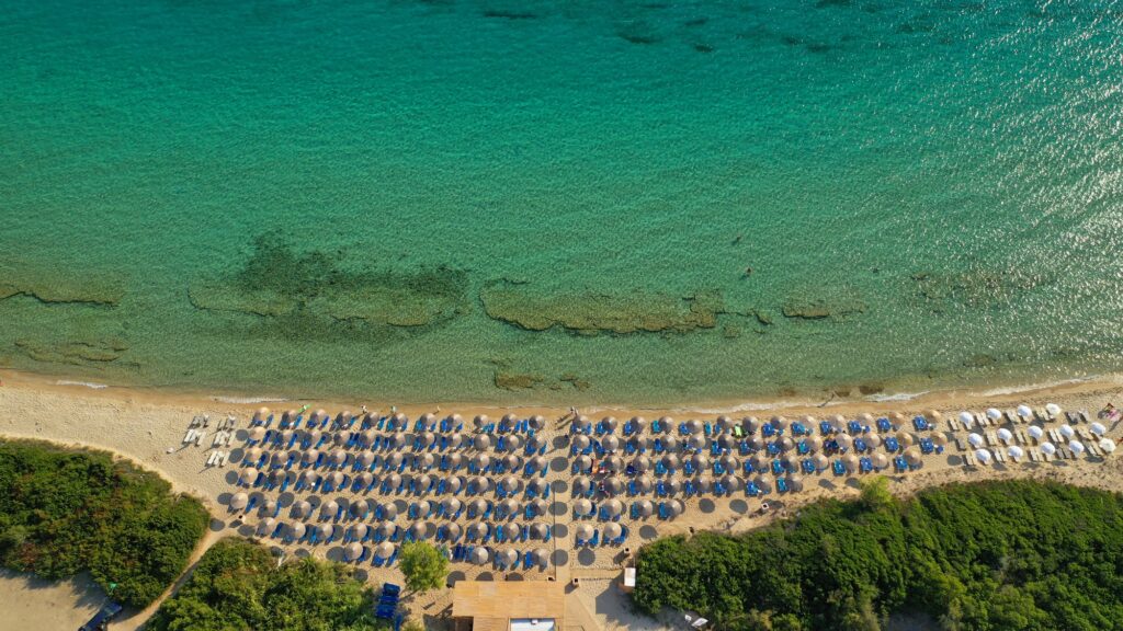 Παλιούρι Χαλκιδική χρυσαφένιες αμμουδιές ανθισμένα μονοπάτια φημισμένο ...
