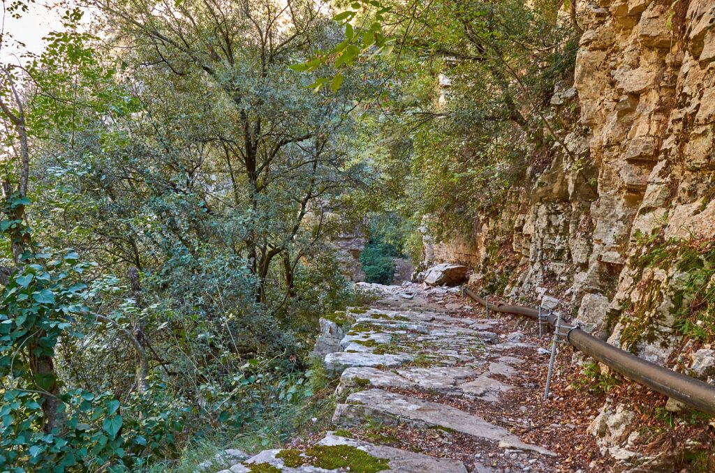 Mαγευτικές διαδρομές, υπέροχη θέα, γαλήνια φύση: Πεζοπορία στον Ταΰγετο ...