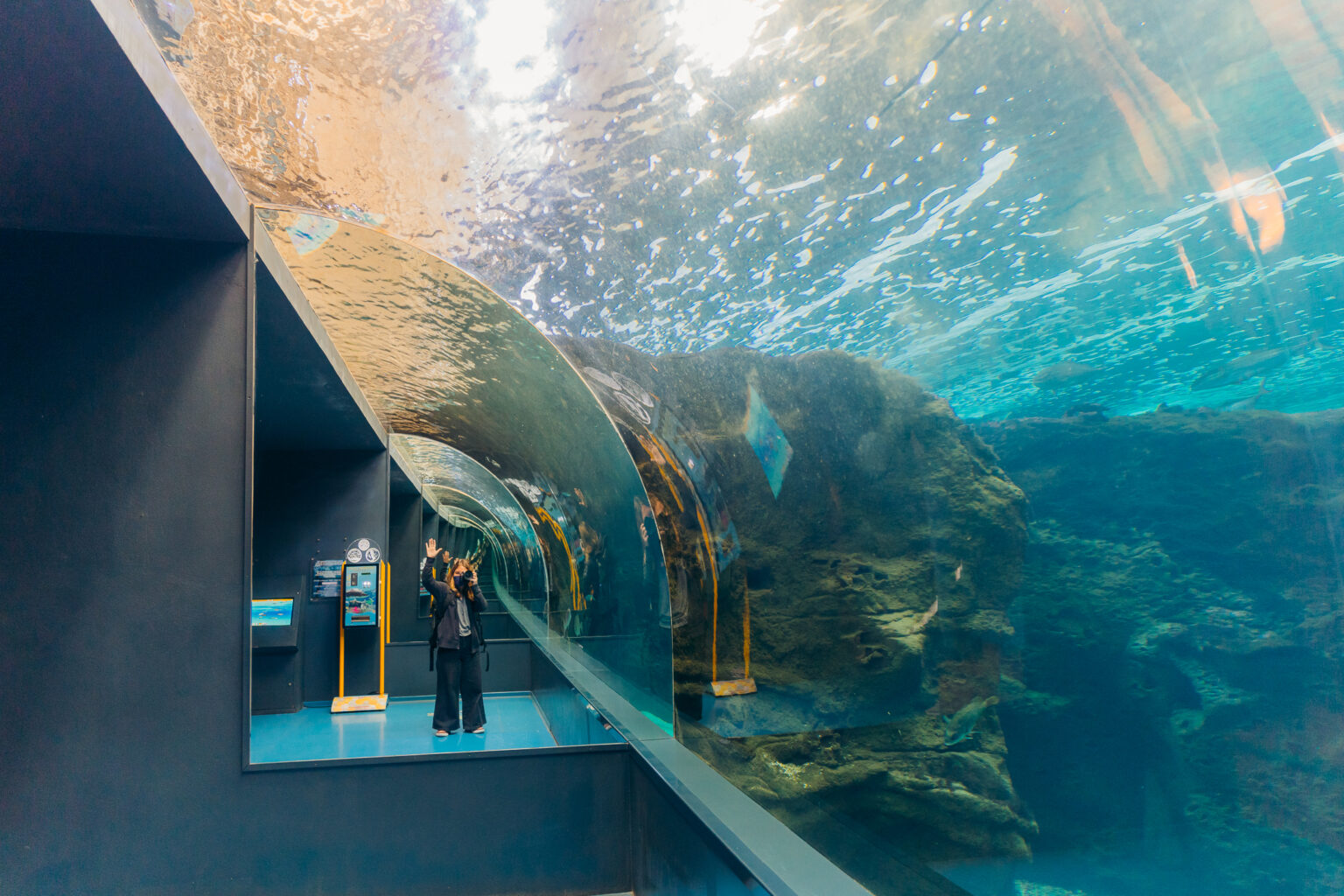 Ενυδρείο Κρήτης