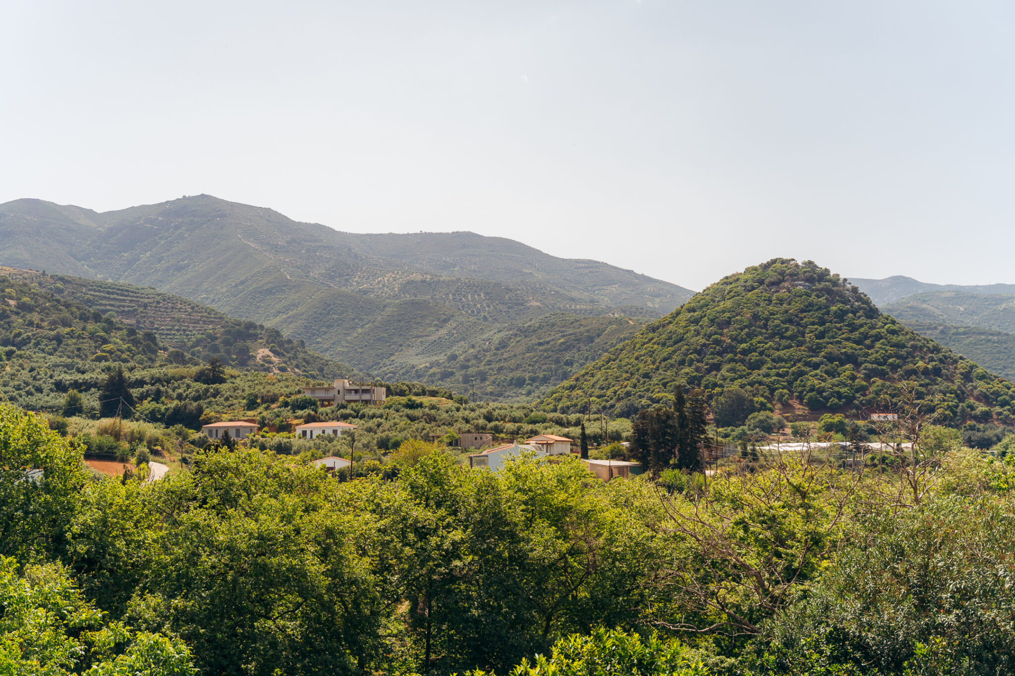Φόδελε Το κατάφυτο χωριό της Κρήτης