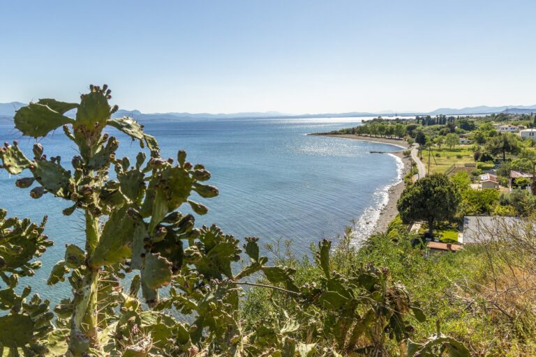 Ερέτρια Αμάρυνθος εξοχές μεσαιωνικά μοναστήρια wine bars | travel.gr