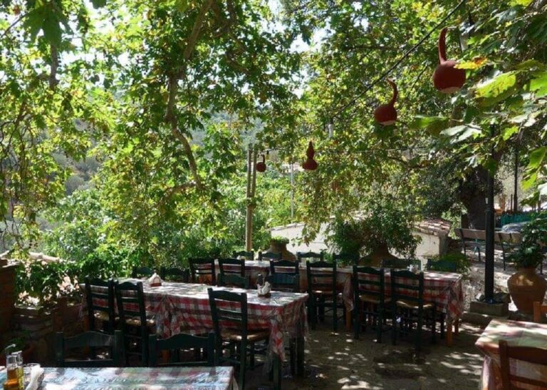 Πρώτη φορά Λέσβο καλύτερες επιλογές φαγητό | travel.gr