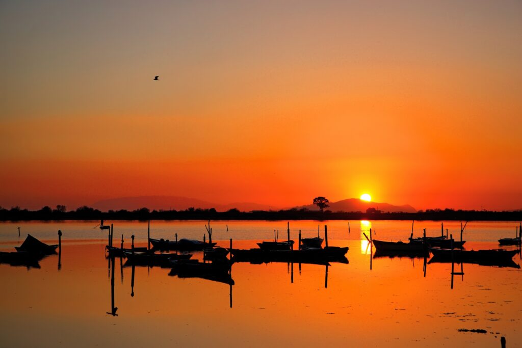 Αιτωλικό νησάκι λιμνοθάλασσα Μεσολογγίου θυμίζει Βενετία | travel.gr