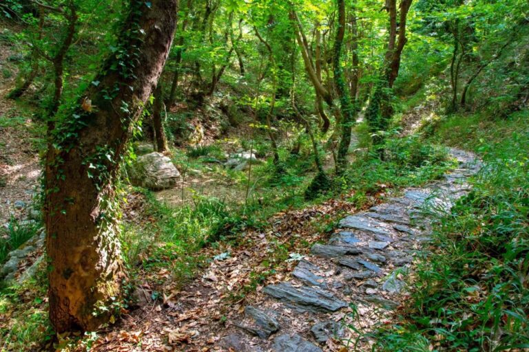 Portaria Village on Mount Pelion, Magnesia, Greece| travel.gr