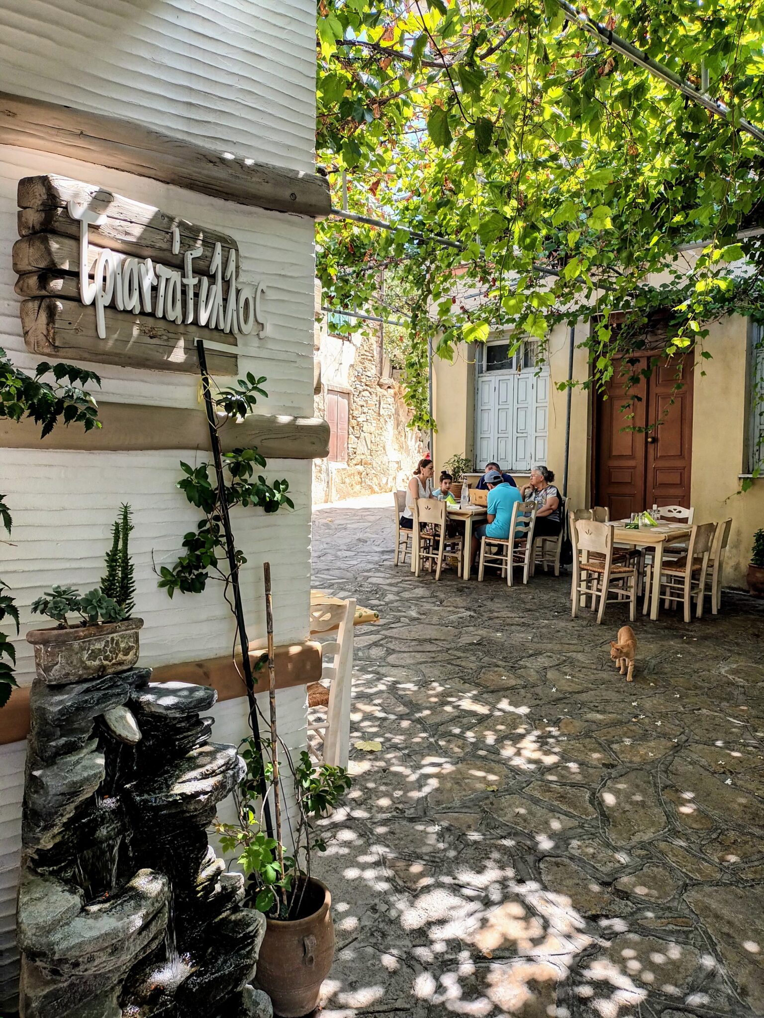 Η γαστρονομική παράδοση που γίνεται (και) gourmet στην Σάμο | travel.gr