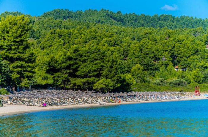 Πευκοχώρι: Ο δημοφιλής παραθαλάσσιος οικισμός της Χαλκιδικής με άρωμα ...
