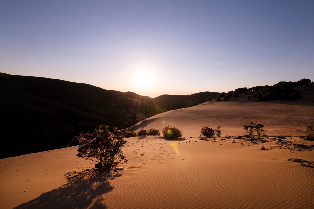 The sand dunes of Lemnos: A pocket-sized Greek sahara desert | travel.gr