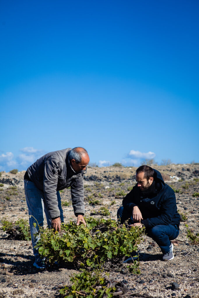 Heraklion: The wineries, the varieties and the wine routes | travel.gr
