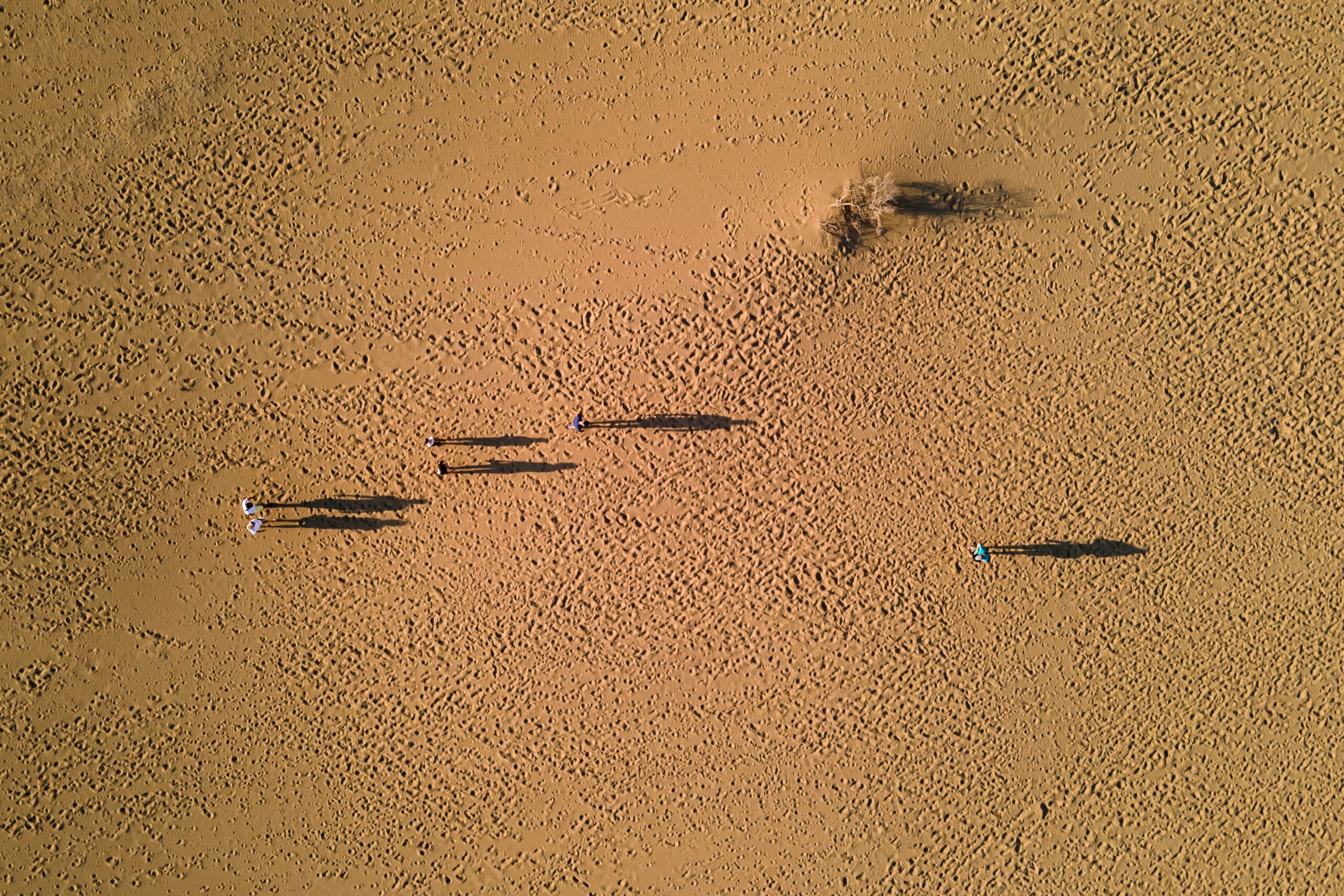 The sand dunes of Lemnos: A pocket-sized Greek sahara desert | travel.gr