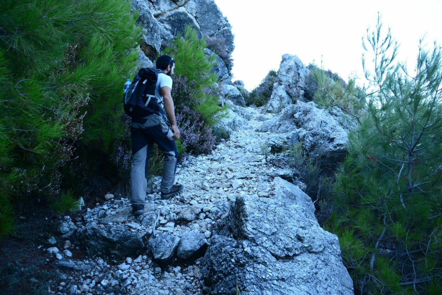 Τα μονοπάτια της Σάμου -Οι τοπ διαδρομές | travel.gr