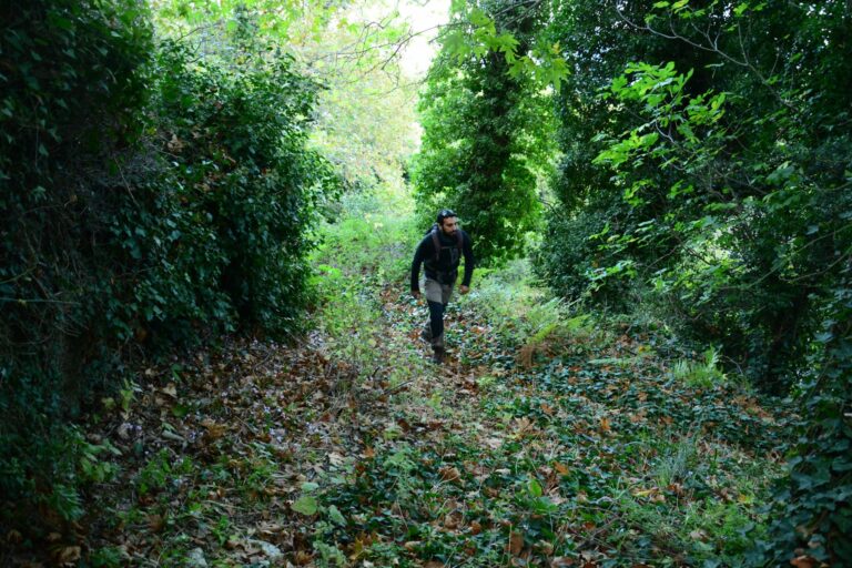 Τα μονοπάτια της Σάμου -Οι τοπ διαδρομές | travel.gr