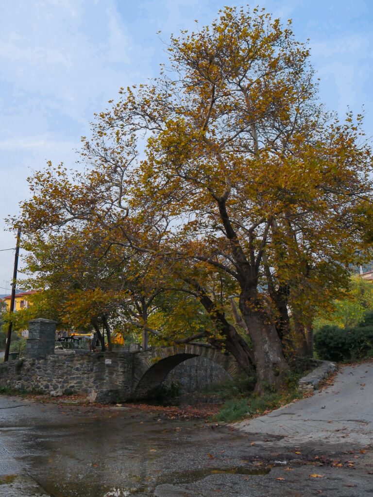Μεγάλη Παναγία προορισμός Χαλκιδικής πλούσια νερά γεφύρι | travel.gr