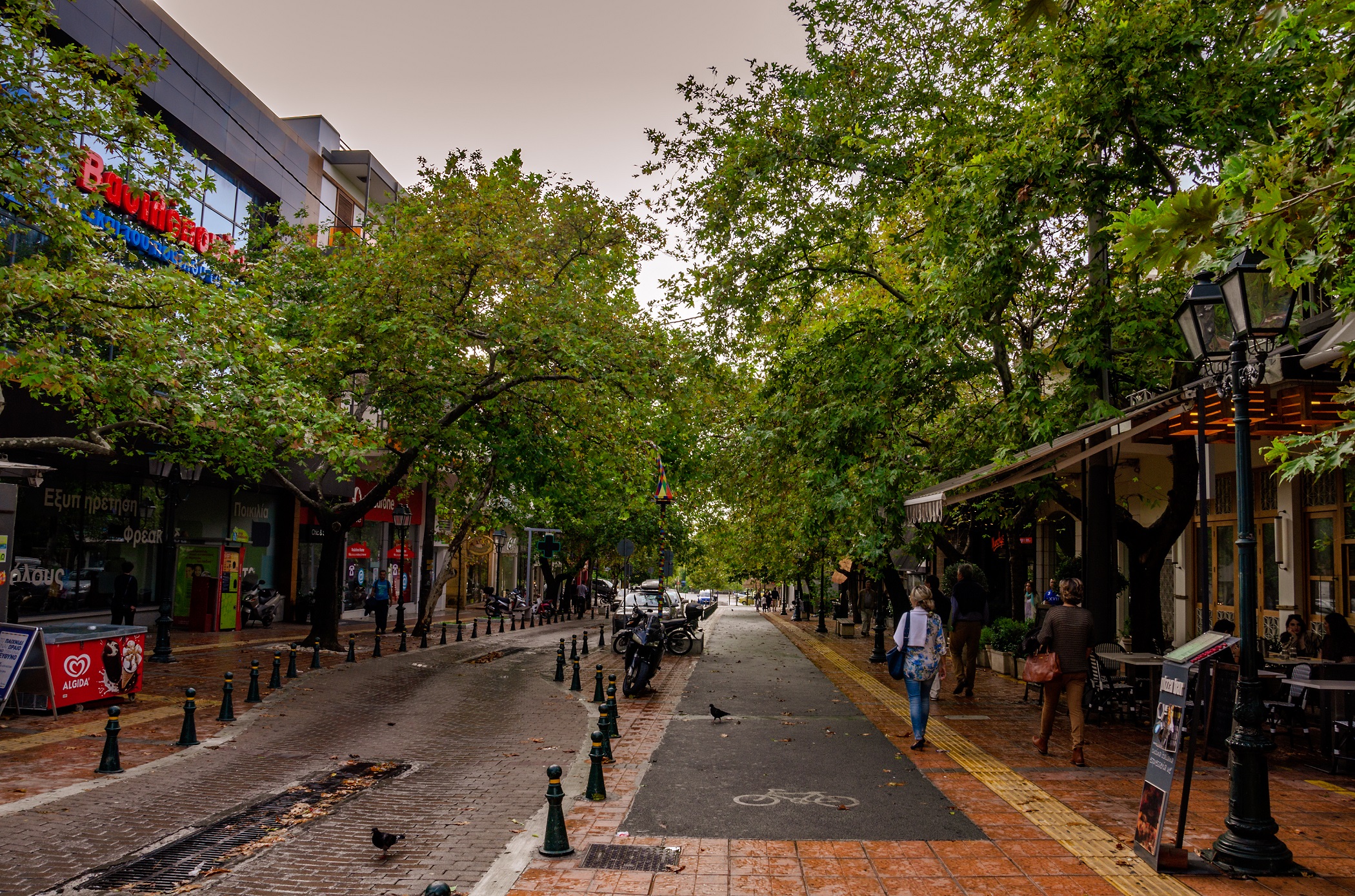 2 οροφοδιαμερίσματα Νέα Ερυθραία φυσικές ομορφιές Πάρνηθα | travel.gr