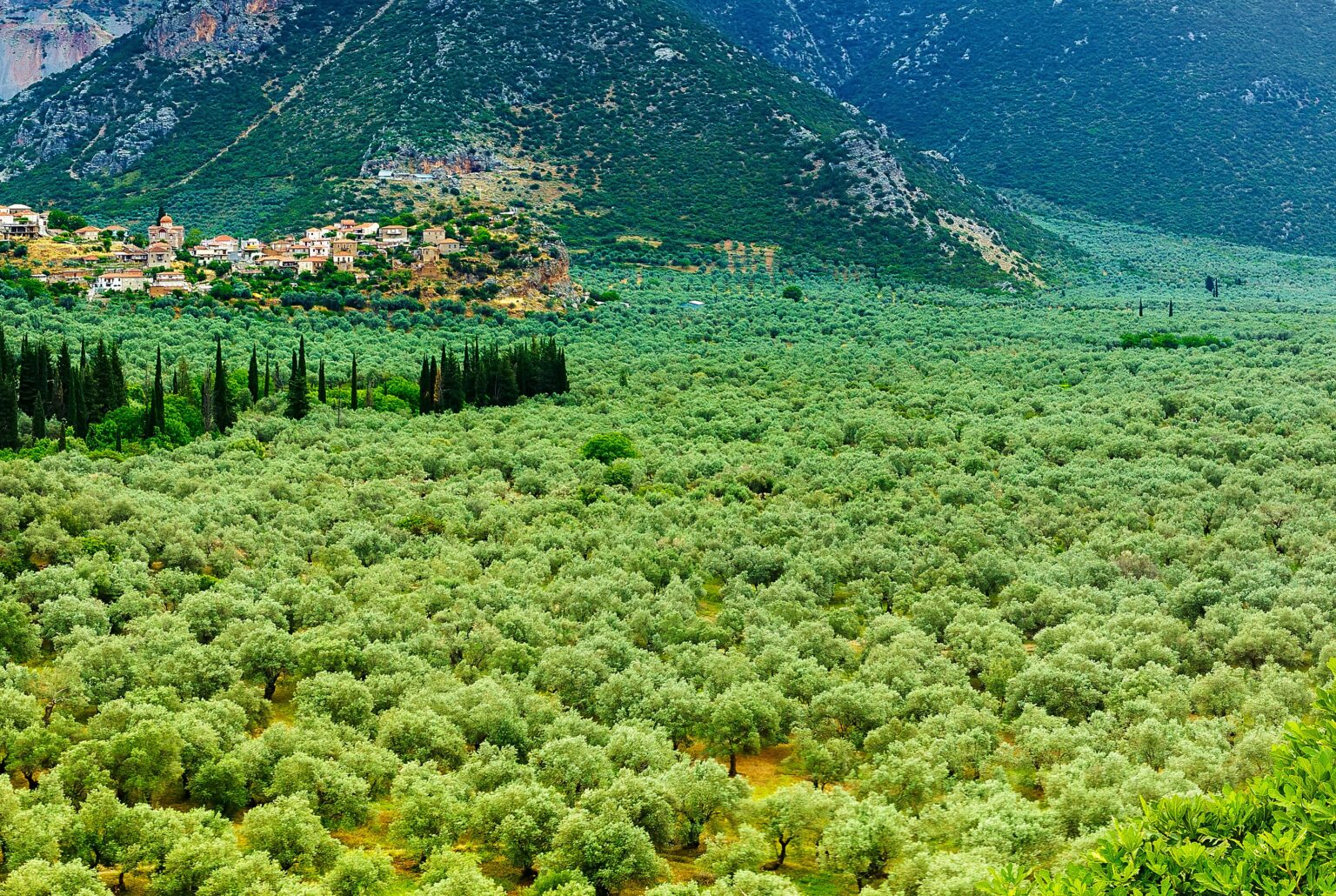 Οι μυθικοί Δελφοί, οι υπέροχες ακτές, το αρχοντικό Γαλαξίδι| travel.gr