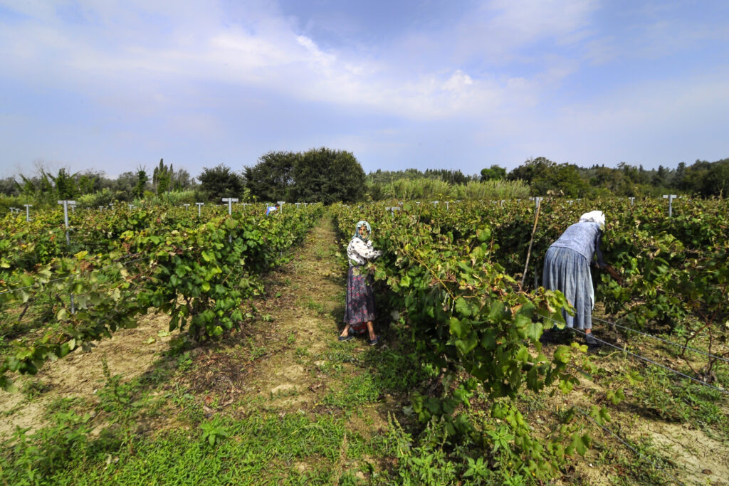 Corfu, an Exciting Foodie Destination | travel.gr