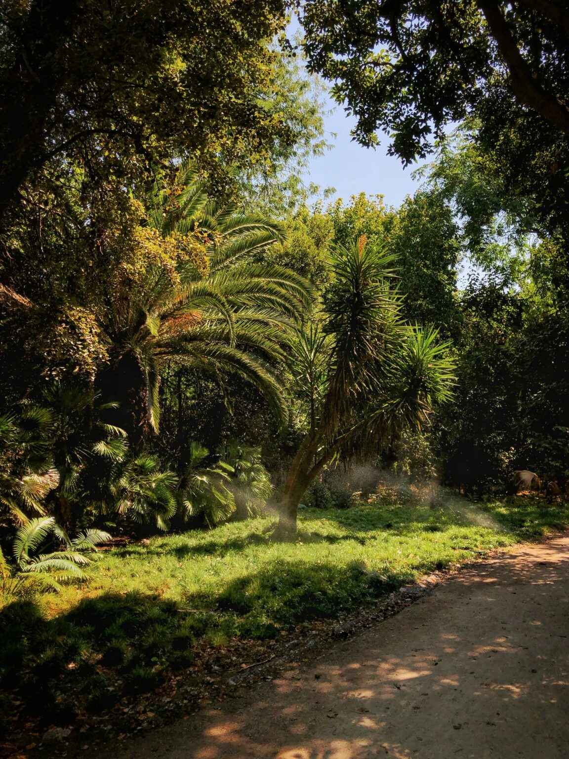 Athens' 31 Best Parks: Shade, Lush Greenery & Calm | Travel.gr/en