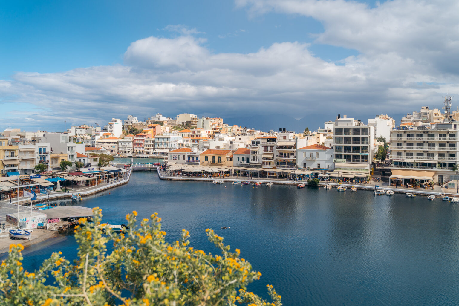 Γαϊδουρονήσι: Ένα νησί-μινιατούρα με θαλασσόκεδρους, απολιθωμένα ...