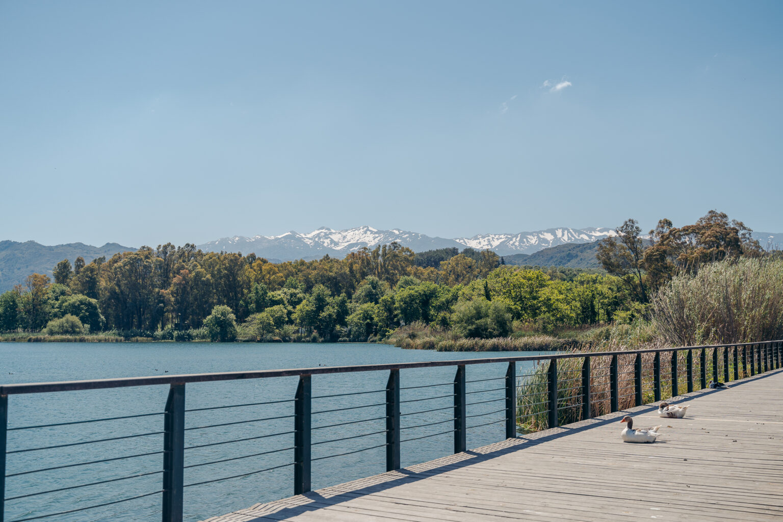 Lake Agia Cretan lake Greece | travel.gr