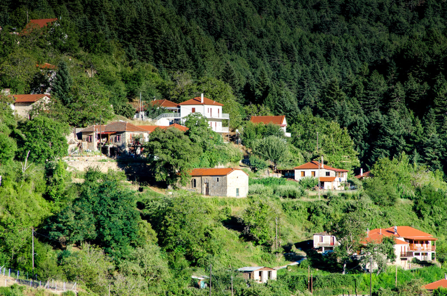 Σαββατοκύριακο στη Ζαρούχλα της ορεινής Αχαΐας | travel.gr