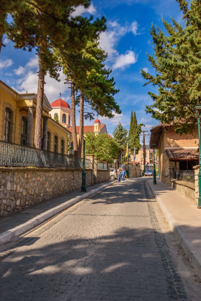 Σιάτιστα αρχοντική κωμόπολη Κοζάνης | travel.gr