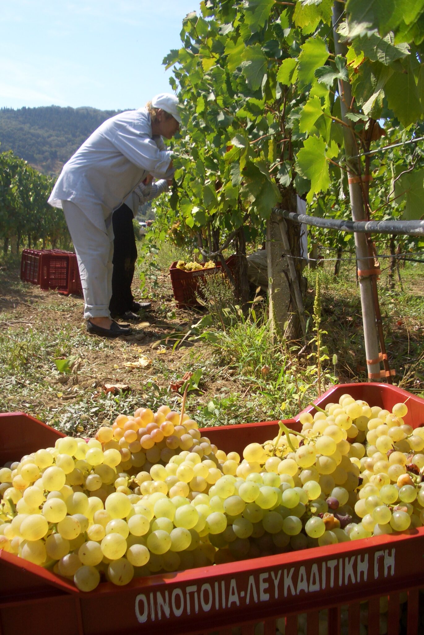 Your Guide to Lefkada| travel.gr