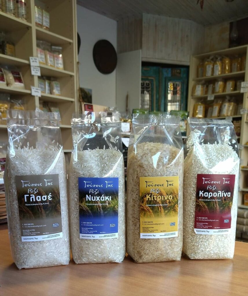 Μεσολόγγι: Βιολογικοί Ορυζώνες με θαλάσσια αύρα | travel.gr